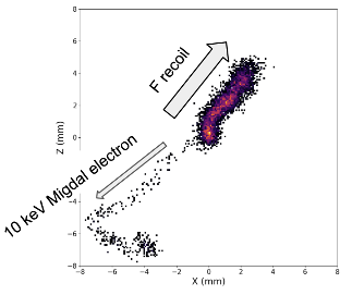 PPD MIGDAL Experiment